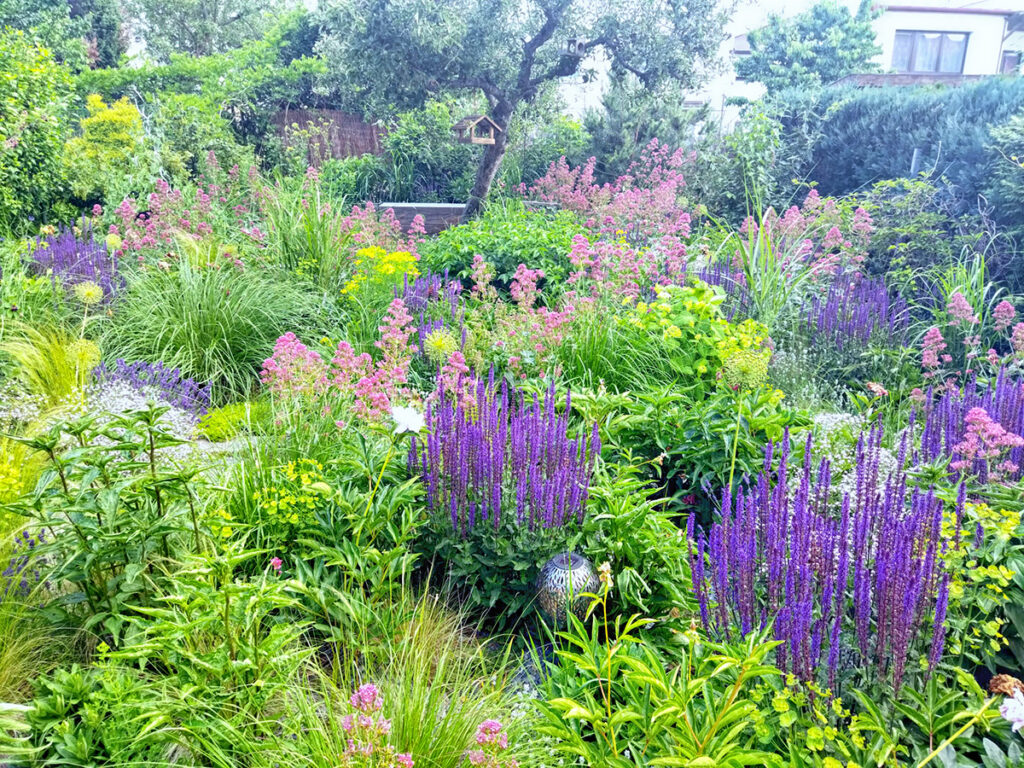Atrium garden | Garden Up